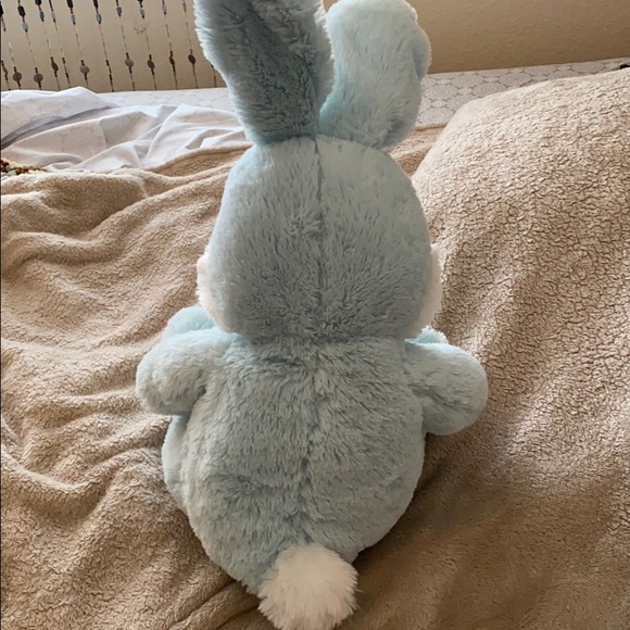 Other | Blue Bunny Stuffed Animal Basically Free | Poshmark
